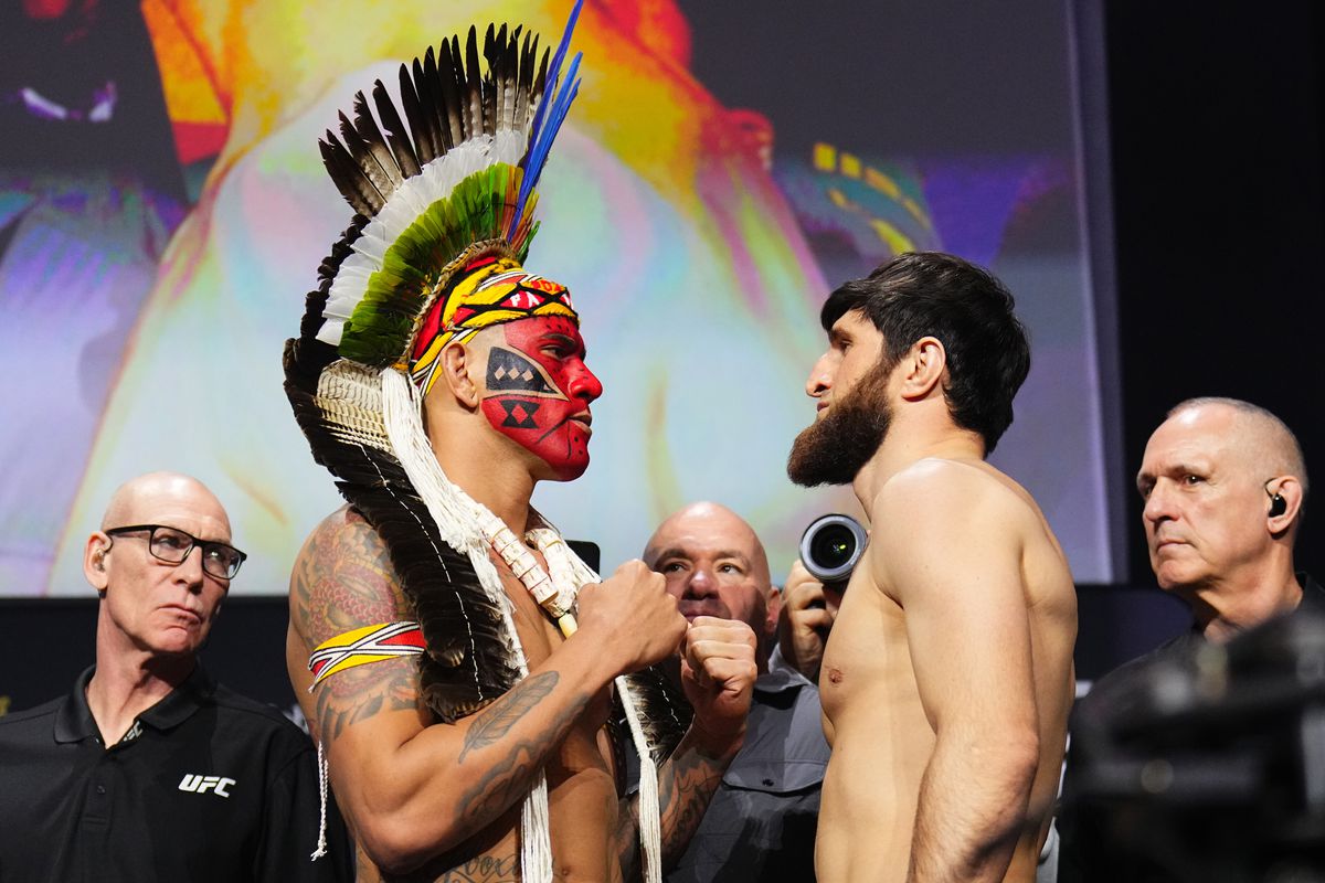 Алекс Перейра - Магомед Анкалаев: обзор бойцов | Новости Bloodandsweat